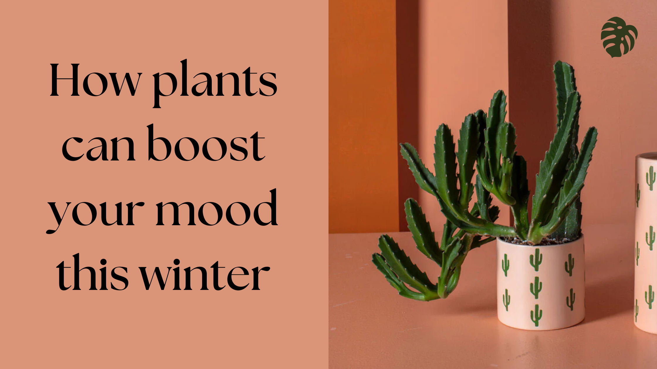How Plants Can Boost Your Mood this Winter – Urban Botany